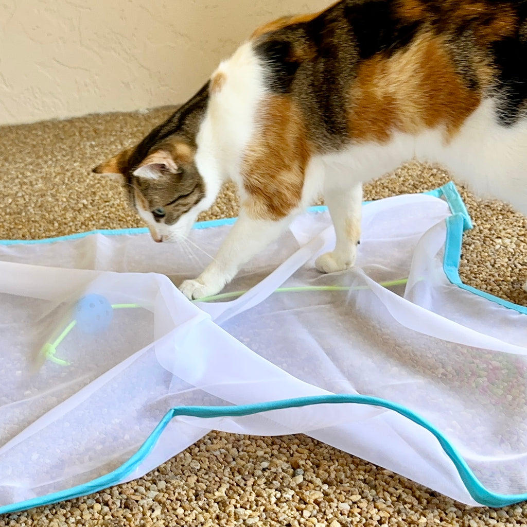 Sheer Fun Cat Toy (On Sale! Ends 10/25) – Sheer Fun For Cats